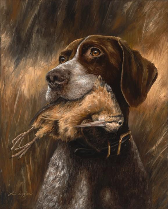 Rainy Day Dove Shoot