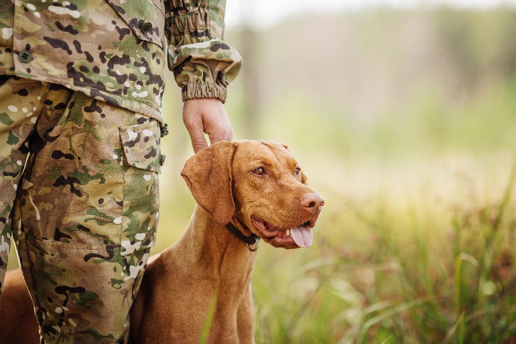 Dog Names - Male