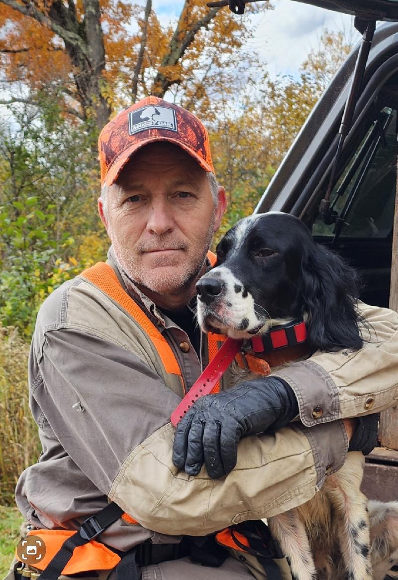 ENGLISH SETTER/ENGLISH POINTER CROSS