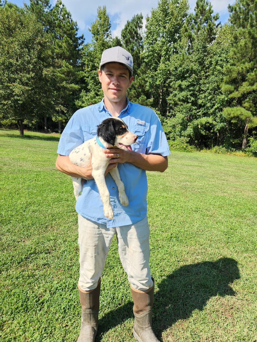 GREAT PEDIGREE WITH SHADOW OAK BO