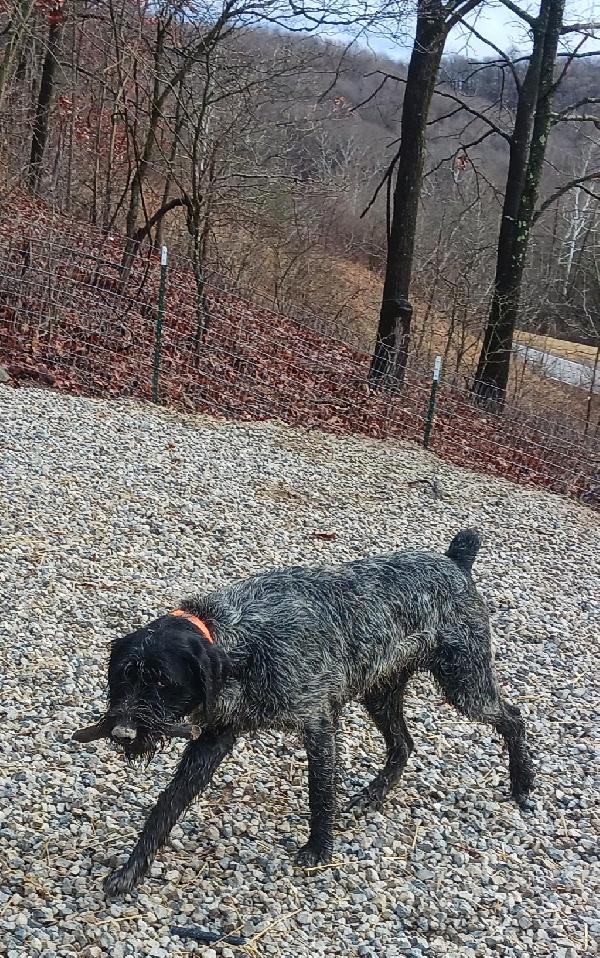 REMINGTON GRACE GWP