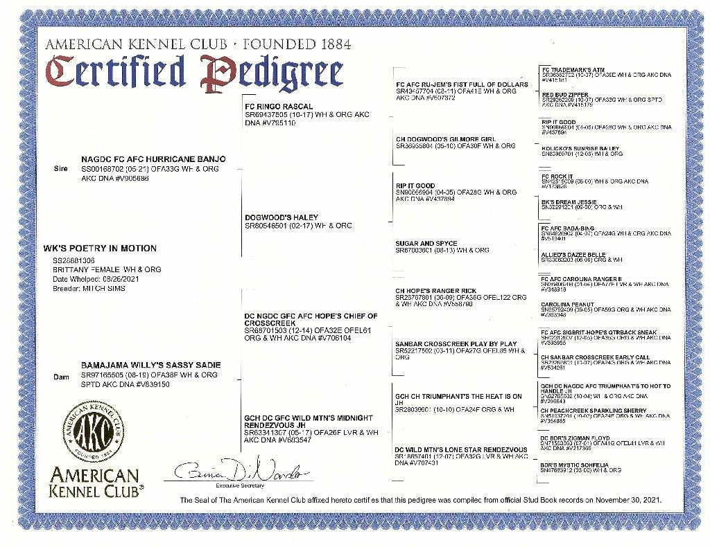 NATIONAL GUN DOG PEDIGREES