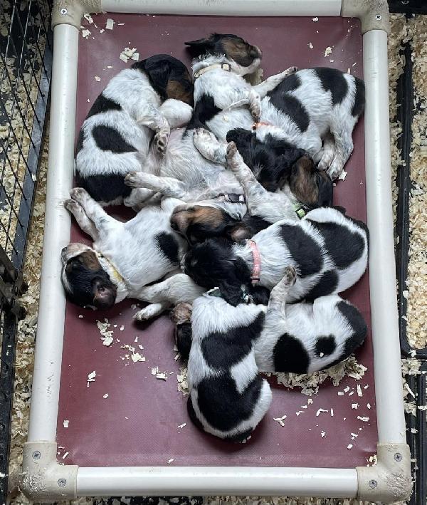 HAPPY TAILS FARM