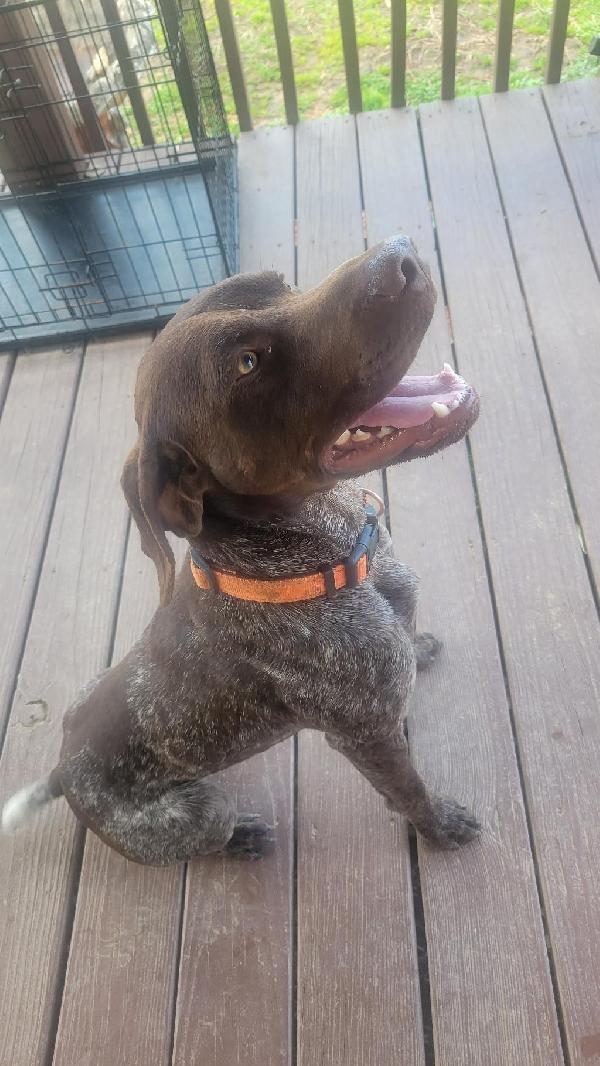 GSP