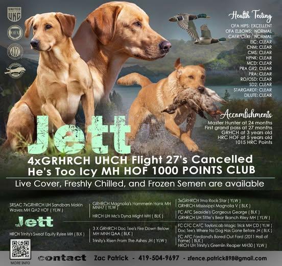6XGRHRCH UH JETT MH HOF X NIKKI LITTER
