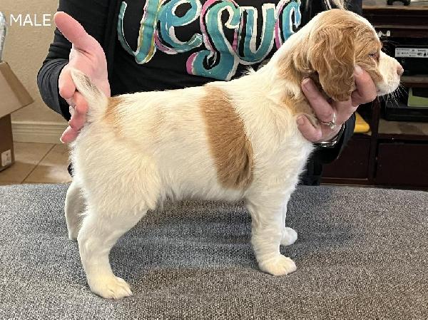 HALL OF FAME AND NATIONAL CHAMPION LITTER