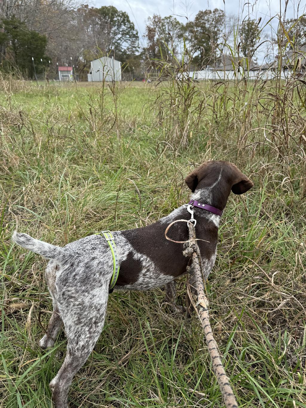 YEAR OLD FEMALE
