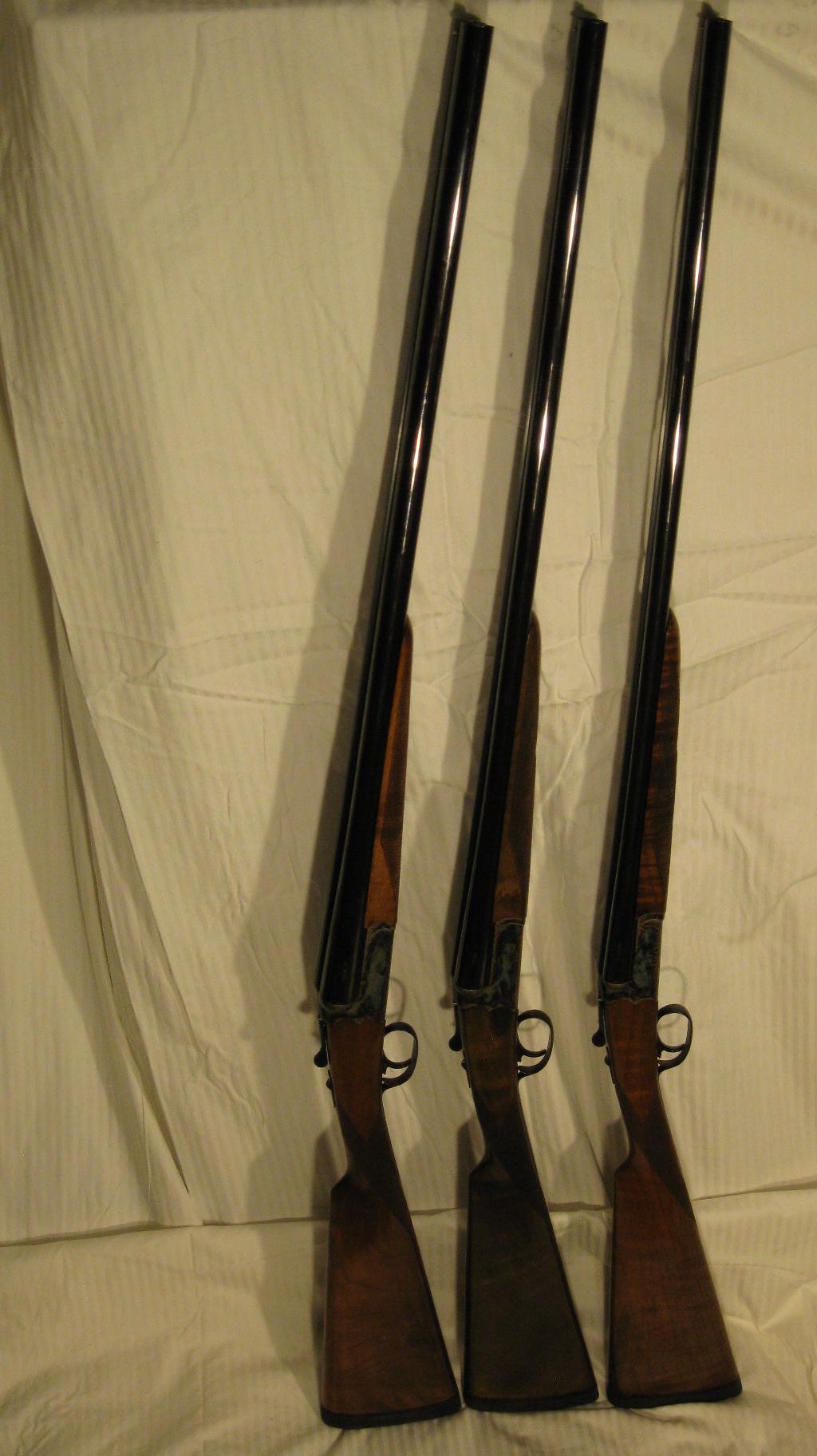 HUNTING DOGS FOR SALE - Gun dogs, Bird Dogs, Field Dogs and Sporting Dogs.